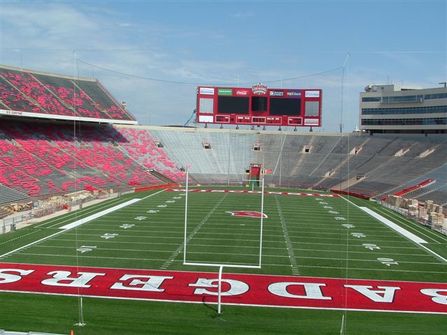 BADGERS – Safety Netting Solutions